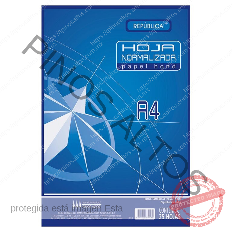 HOJA NORMALIZADA BOND A4 | TRANSFORMADORA PINOS ALTOS